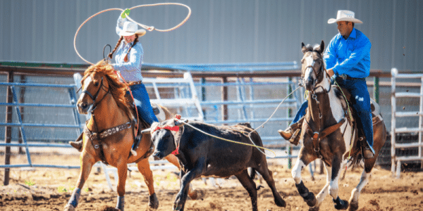 11 Most Popular Sports in Chile