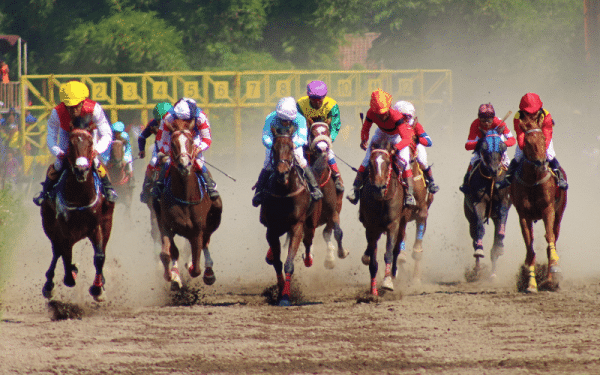 24 Horse Sports List (sorted by Popularity)