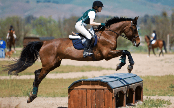 Equestrian History: Timeline & How it started