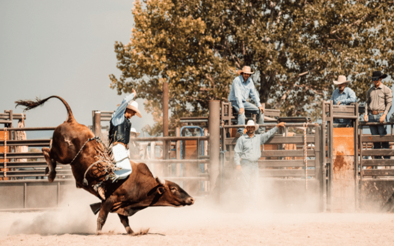 Rodeo Equipment List: 17 Items (with Pictures)