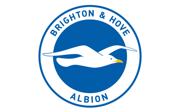 Brighton & Hove Albion Color Codes