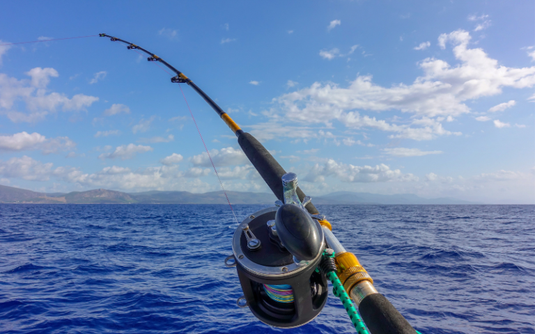 Fishing Equipment List: 23 Items (with Pictures)