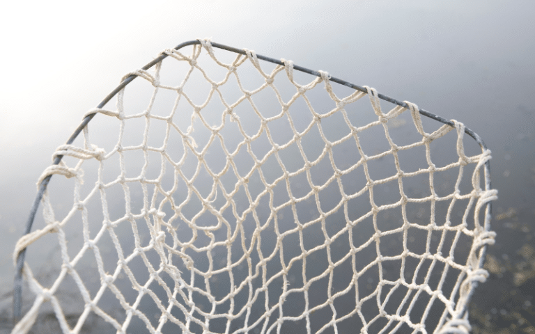 Fishing Equipment List: 23 Items (with Pictures)