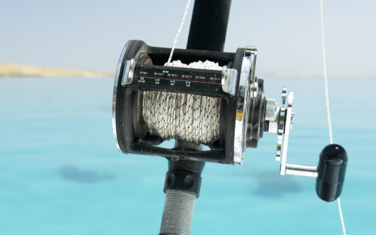 Fishing Equipment List: 23 Items (with Pictures)
