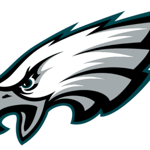 Atlanta Falcons Color Codes