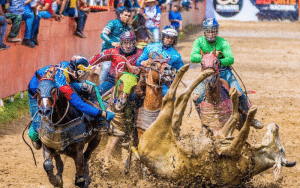 11 Countries Where Rodeo is Most Popular (Ranked)