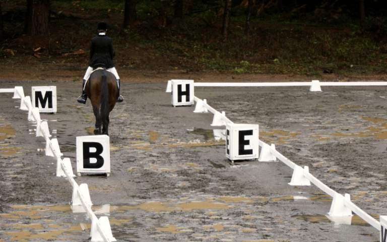 Equestrian Equipment List: 21 Items (with Pictures)