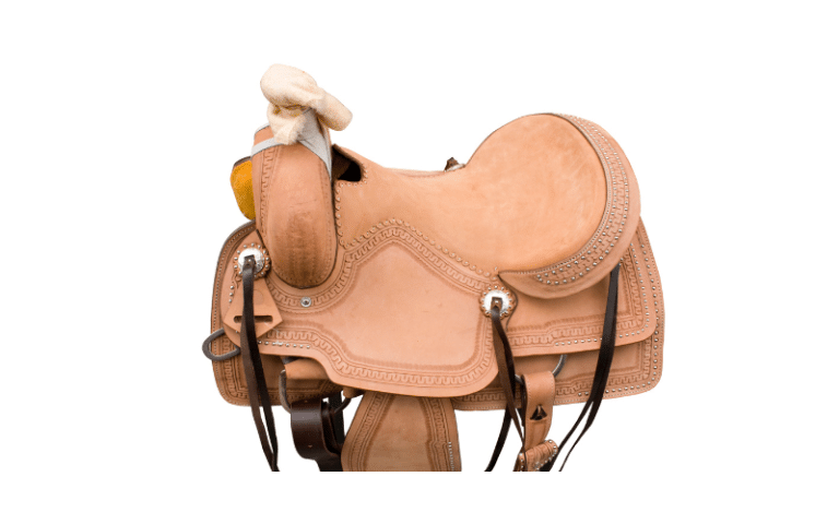 Equestrian Equipment List: 21 Items (with Pictures)