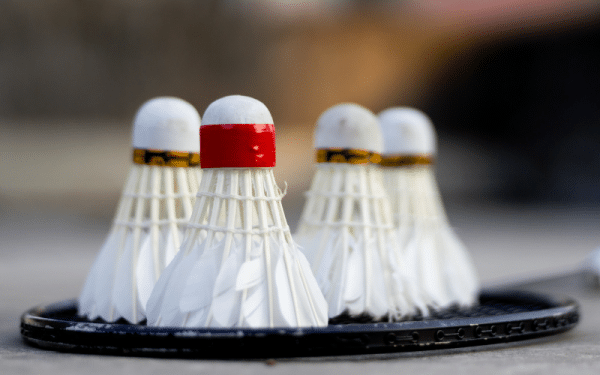 Badminton Equipment List: 19 Items (with Pictures)